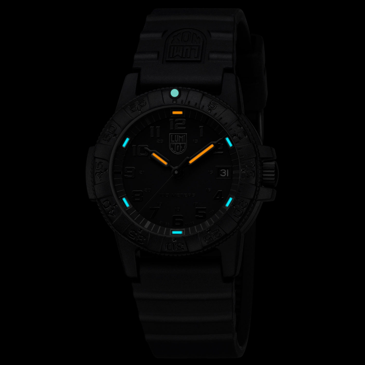 Luminox Sea Turtle 0300 Series - XS.0301.BO.L - Helen Kirchhofer