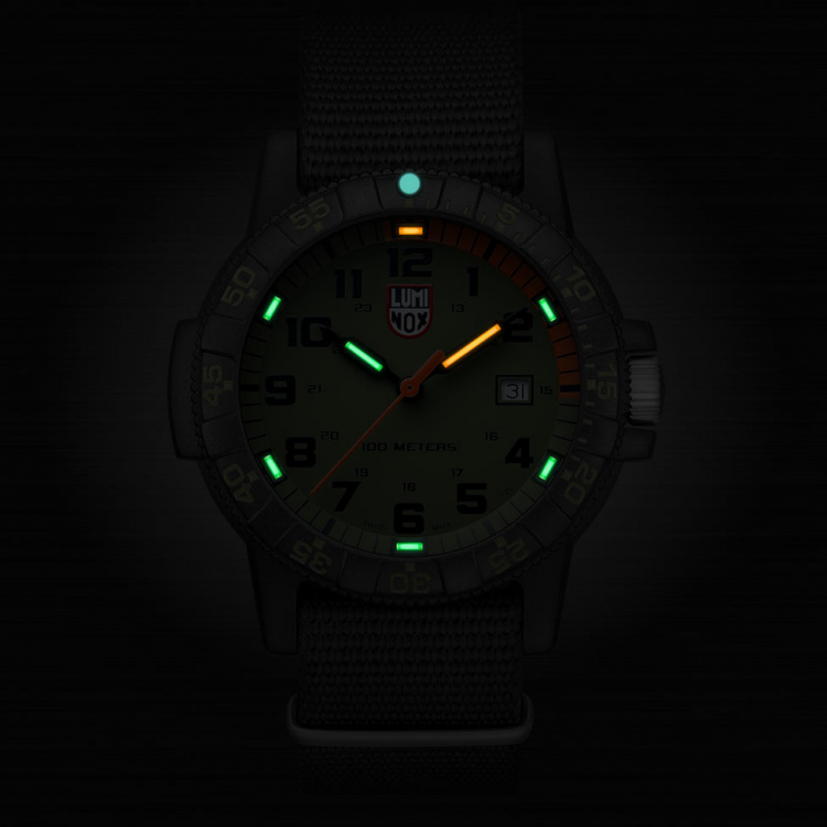 Luminox Leatherback Sea Turtle Giant 0320 Series - XS.0337 - Helen ...