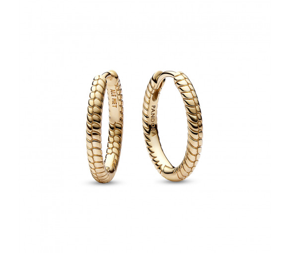 Pandora - Helen Kirchhofer