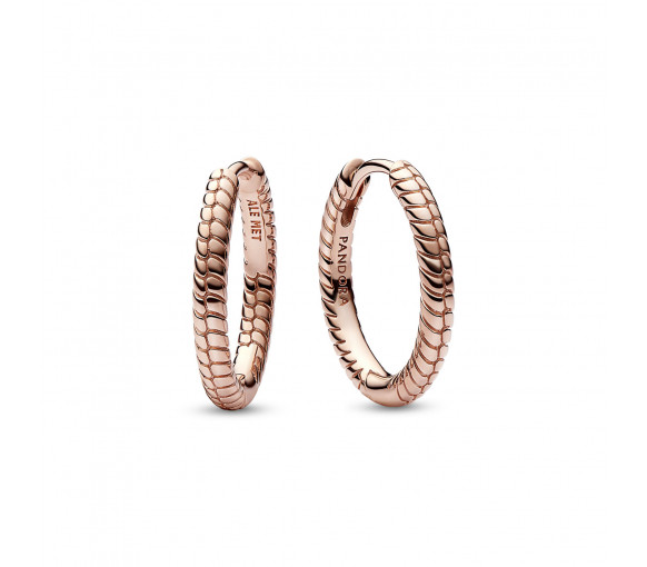 Pandora - Helen Kirchhofer